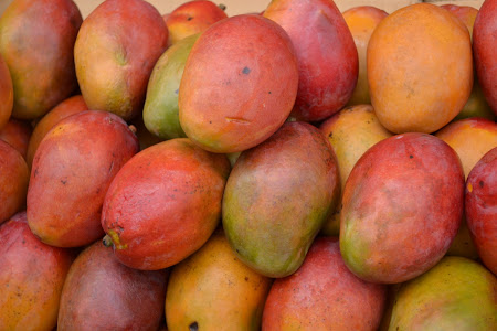 Where No Mangoes – On Satire and Sabbatical