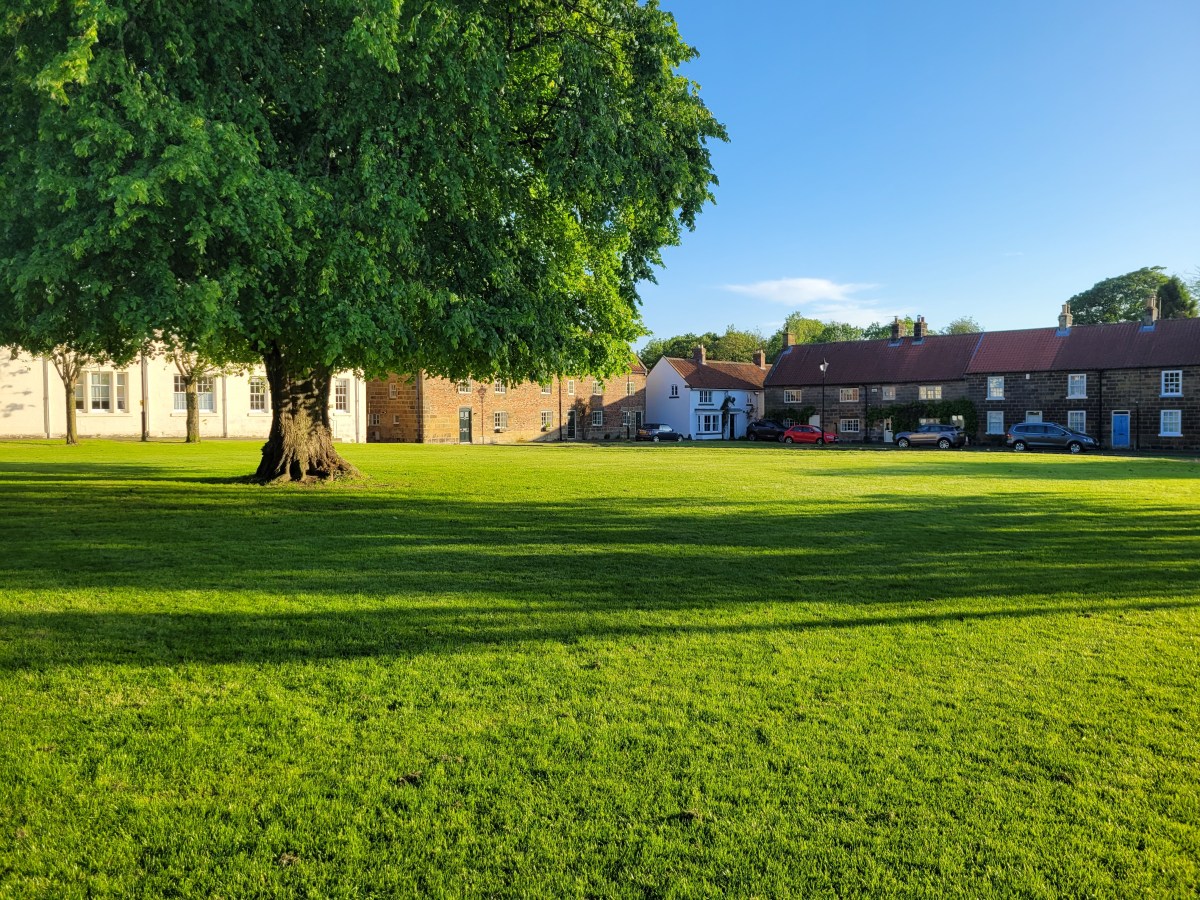 Destination: England – Where No Mangoes